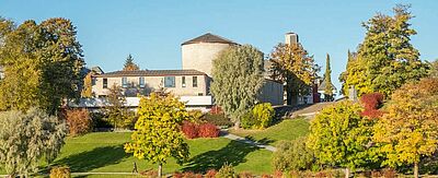 Bonifatiuswerk der deutschen Katholiken: Dom Trondheim