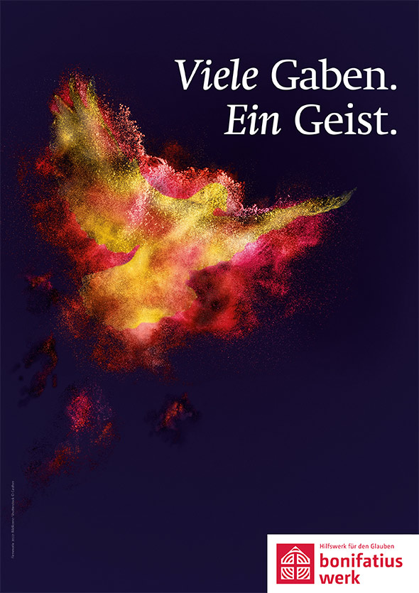 Bonifatiuswerk der deutschen Katholiken: Firmung - Material für das Sakrament der Firmung